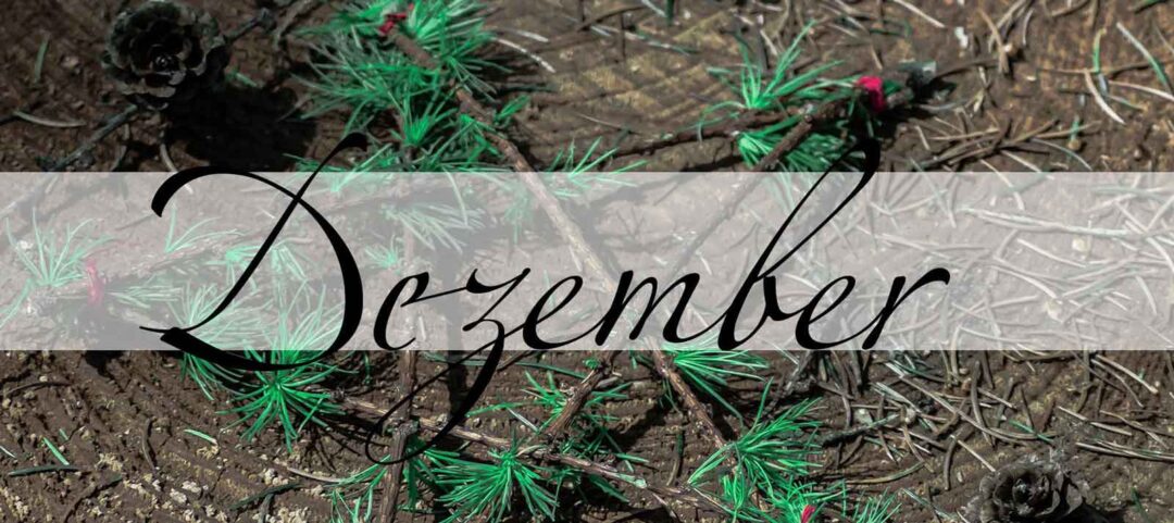 Inhaltsangabe Ausgabe Dezember | Practical Magic Magazin