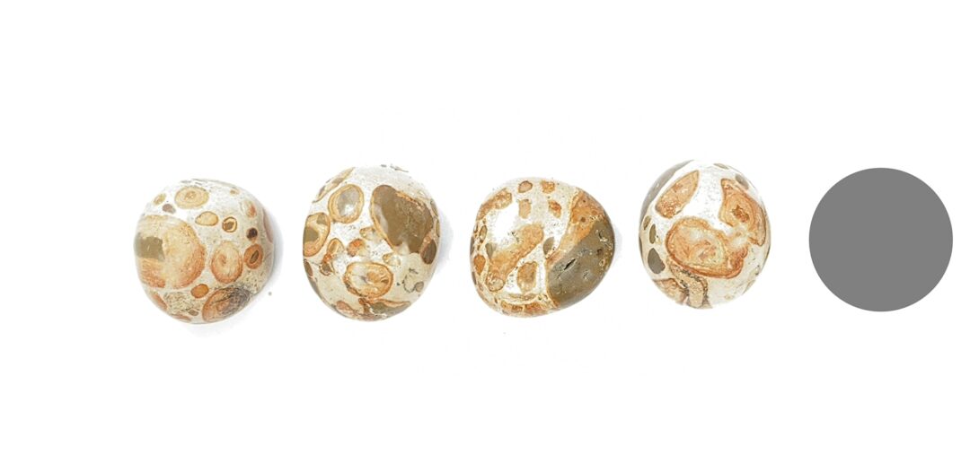 Leopardit auch Leopardenstein oder Onkolith - Anwendung und Wirkung ...