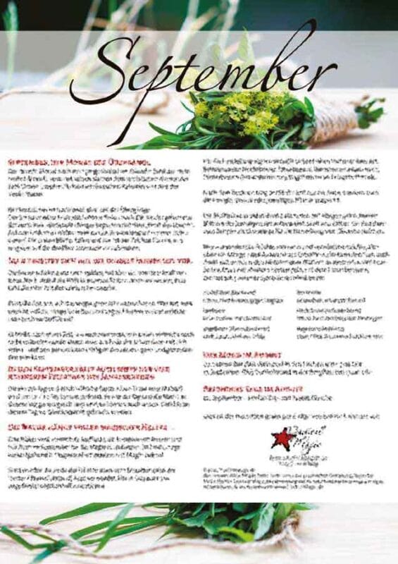 Hexenladen Practical Magic - Hexenshop online und in Hamburg