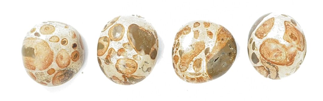 Leopardit auch Leopardenstein oder Onkolith - Anwendung und Wirkung ...